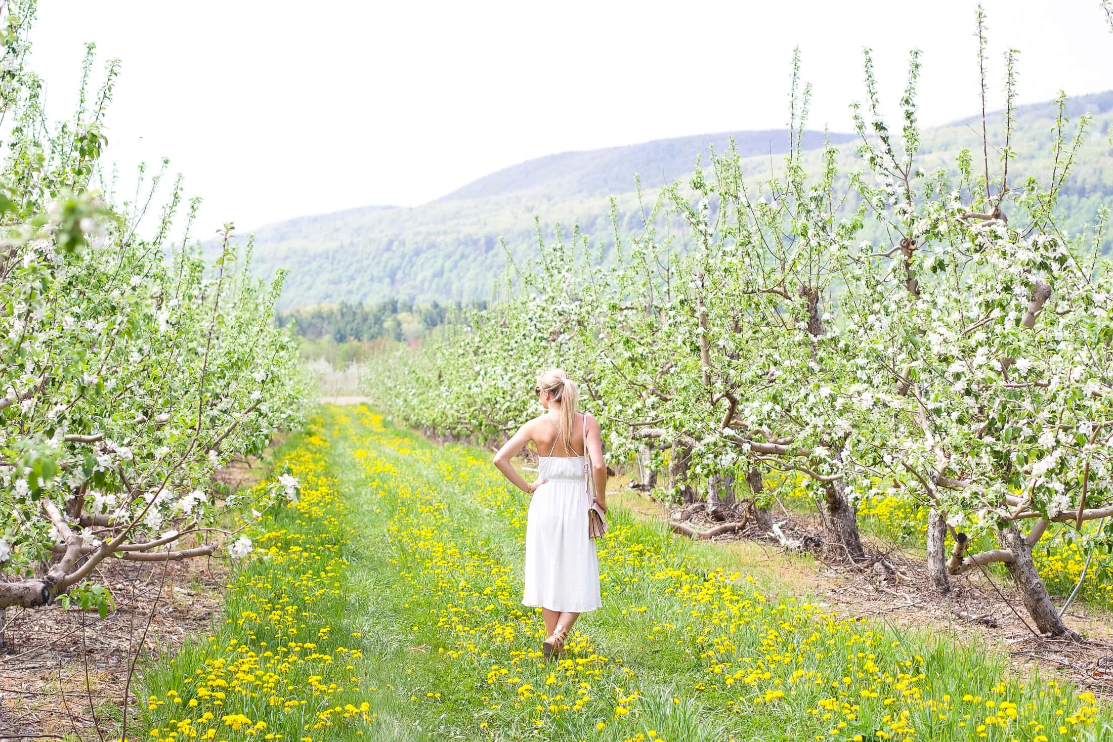 ROAD TRIP - Styled Snapshots