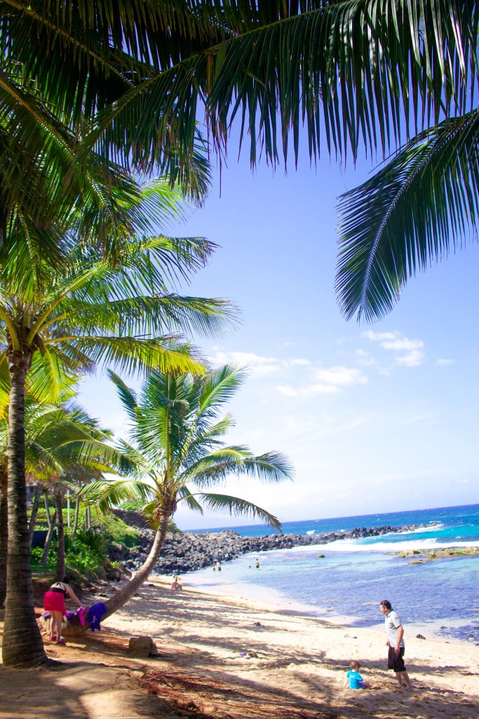 TRAVEL GUIDE: HAWAII - Styled Snapshots