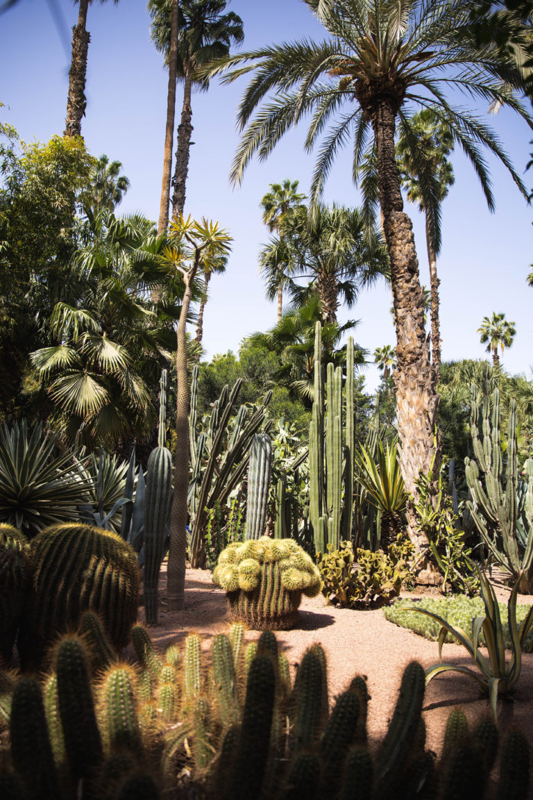 MARRAKECH TRAVEL GUIDE - Styled Snapshots