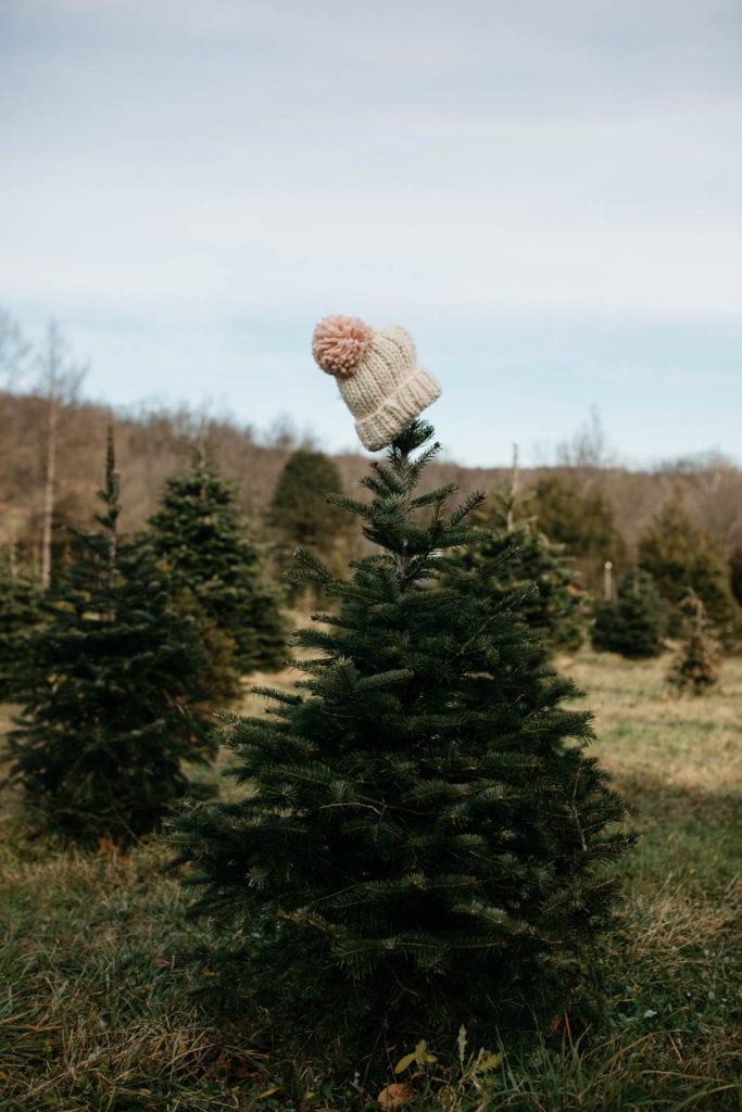 Our Tree Hunting Tradition - Styled Snapshots